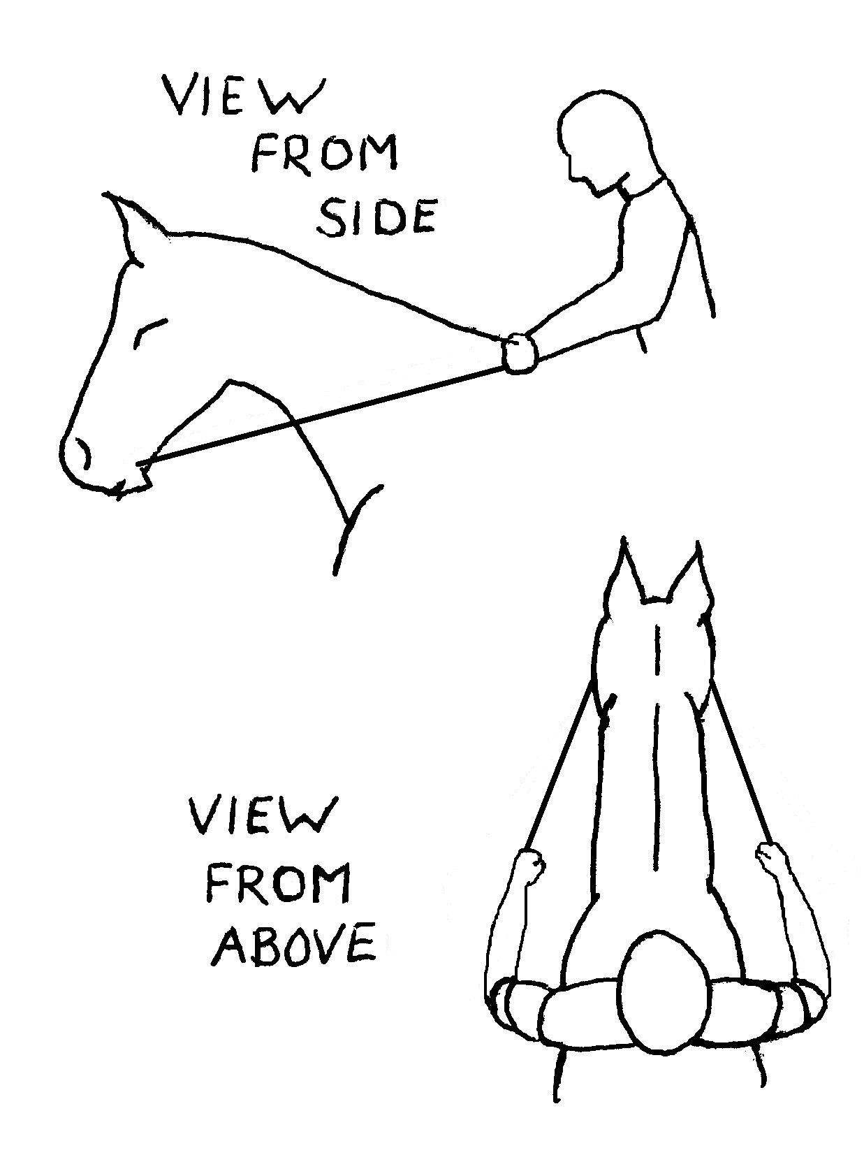 Horse Runs Out At Jump? Try This! – Eloise King